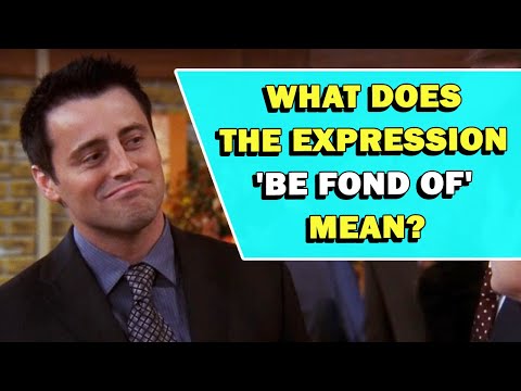 Expression 'Be Fond Of' Meaning