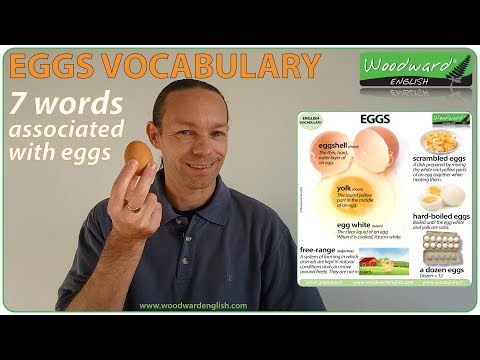 EGG vocabulary | 7 words associated with eggs | Learn English Vocabulary about EGGS | ESOL lesson