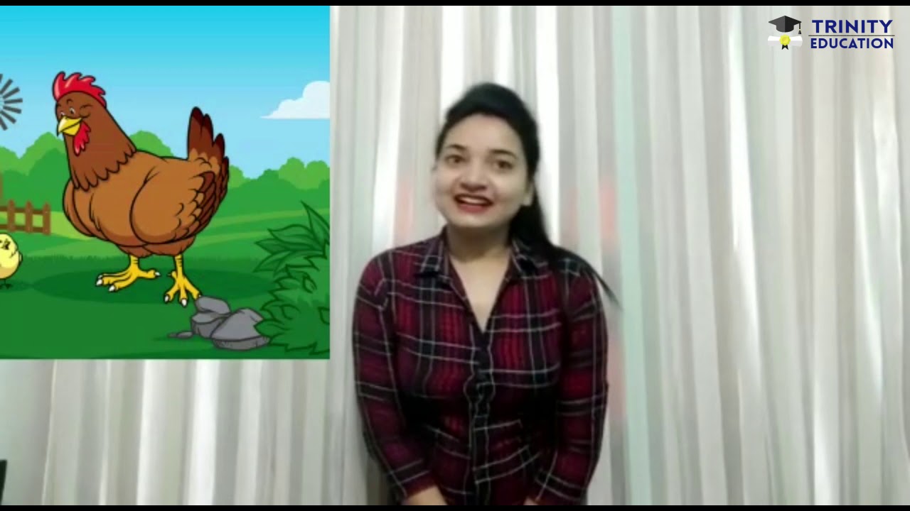 Introduction to Farm Animals