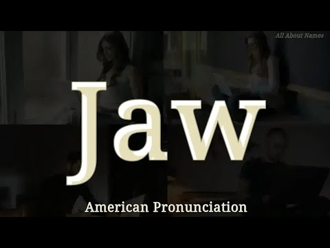 Jaw: American Pronunciation, Meaning, and Usage in Sentences