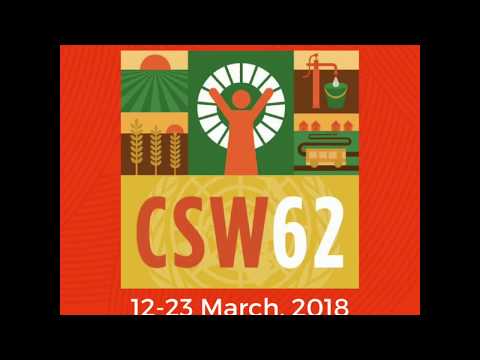What is the UN Commission on the Status of Women?