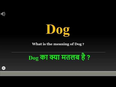 Dog meaning in Hindi | Dog ka kya matlab hota hai | daily use English words