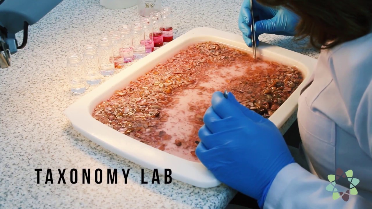 AZECOLAB Laboratory
