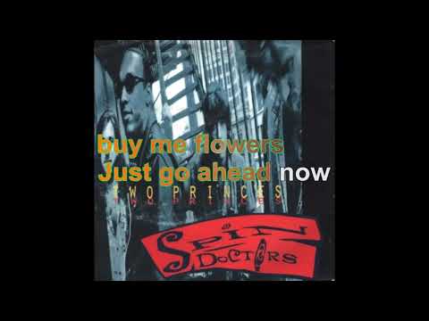 Spin Doctors - Two Princes [Lyrics Audio HQ]