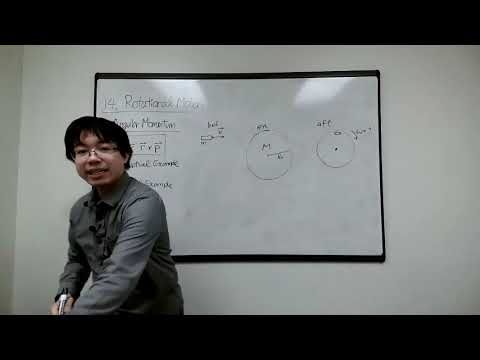 P3A L20C. Angular Momentum in Vector Form