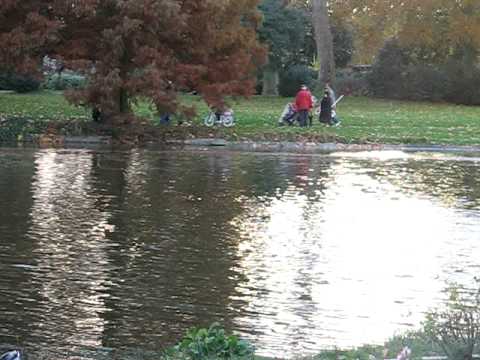 Bois de Vincennes 1