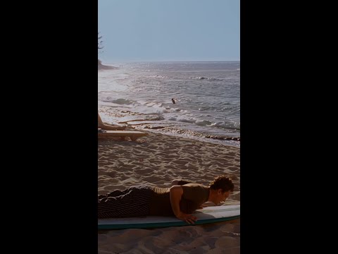 Forgetting Sarah Marshall | Pop Up!