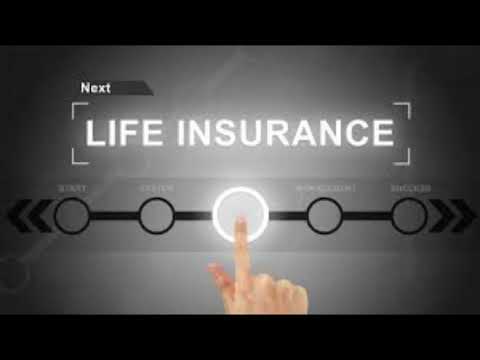 MONY Life Insurance Company - Deny Paijo x Beloved Kitten