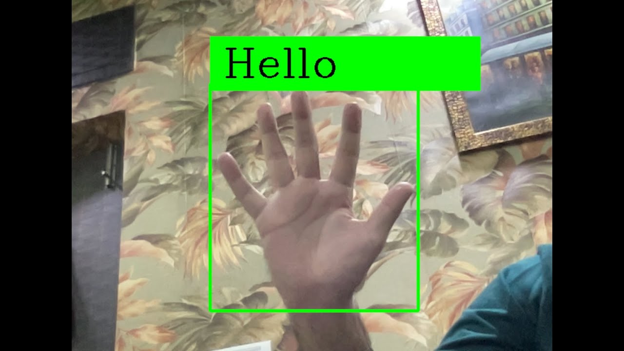 Sign Language Detection / Python Projects with Priyansh