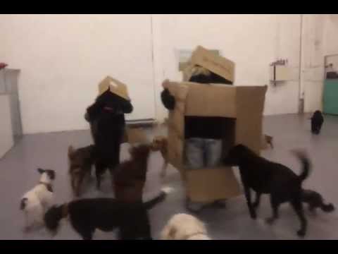 Robots visit daycare