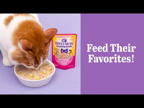 Wellness Appetizing Entrees 😺 | Wellness Pet