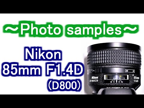 Nikkor 85mm f/1.4 D: Photo samples (JAA332DA)