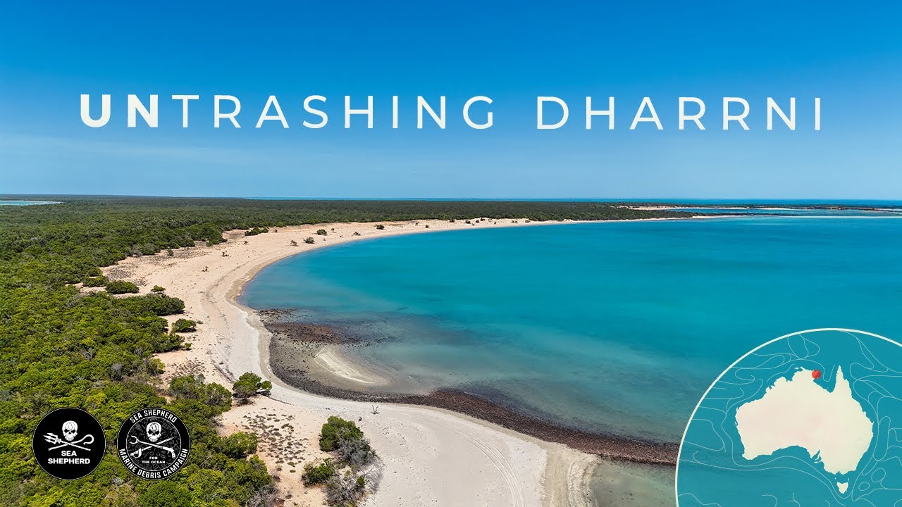 Untrashing Dharrni 2025 | A Sea Shepherd Australia Documentary