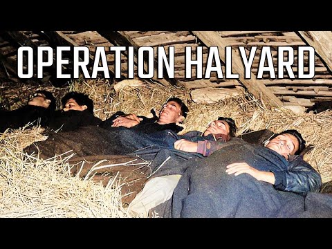 10 of History’s Most Incredible Rescue Operations – lemontopics