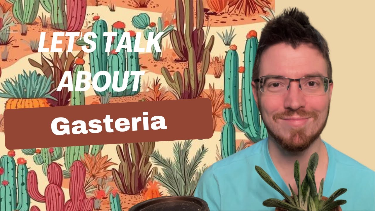 Let's Talk about Gasteria