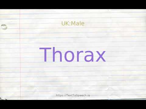 How to pronounce thorax