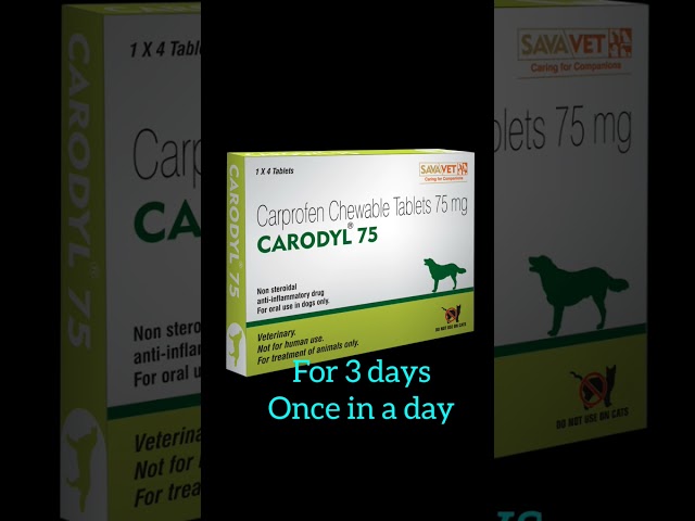 Veterinary Medicines - Corise Itrapet Itraconazole 20mg Trader ...