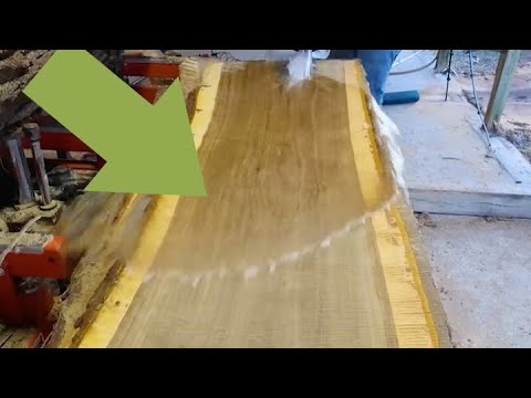 Ever See CURLY Black Walnut?