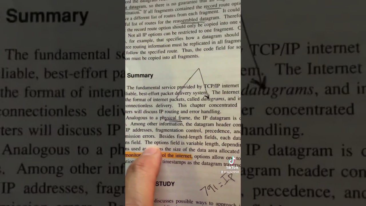 IP packet aka datagram “options”