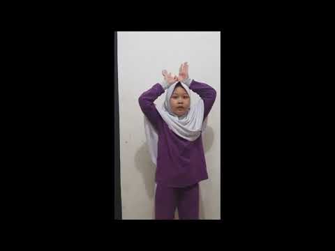 menirukan gerakan kelinci