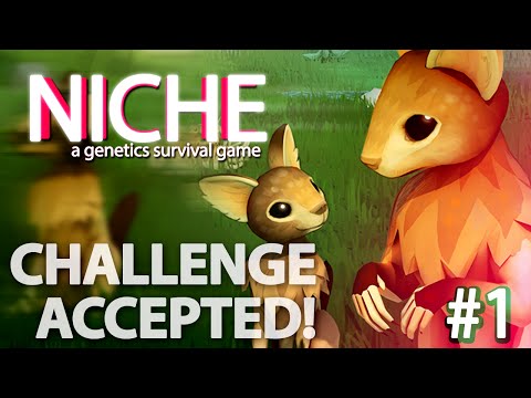 Steam Community :: Video :: Niche Game Ep #1 - Youtuber Challenge ...