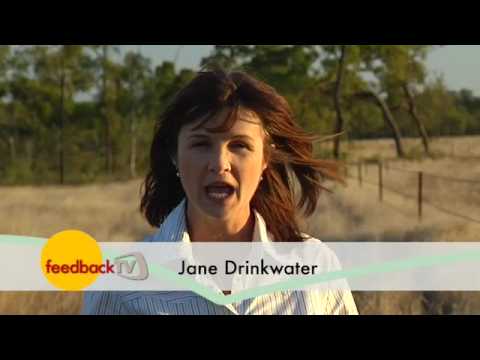 Grazing for profit and sustainability (episode 8)