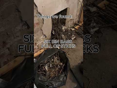 Library Fireplace Reveal 🔥 | Renovating the Constabulary