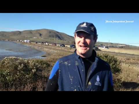 Dave Zahniser of the Marine Mammal Center on elephant seal rescue near Highway 37.