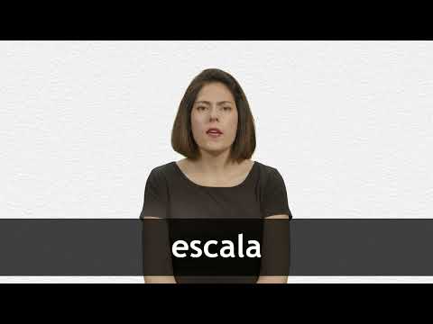 English Translation of “ESCALA” | Collins Spanish-English Dictionary