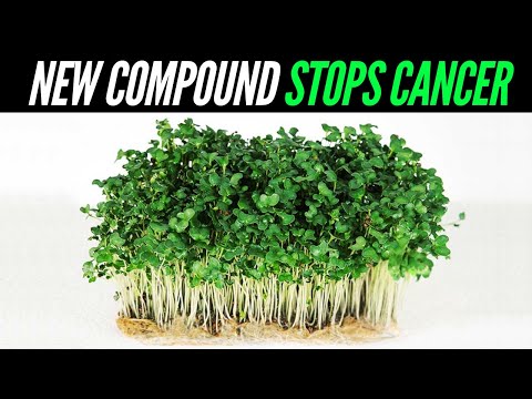 You Won't Believe What Sulforaphane Does to Cancer Cells!