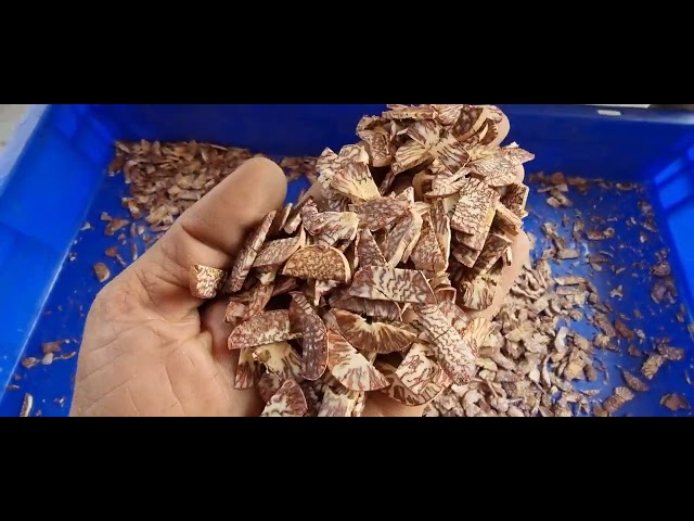 Supari Cutting Machine - Fully Automatic Supari Cutting plant ...