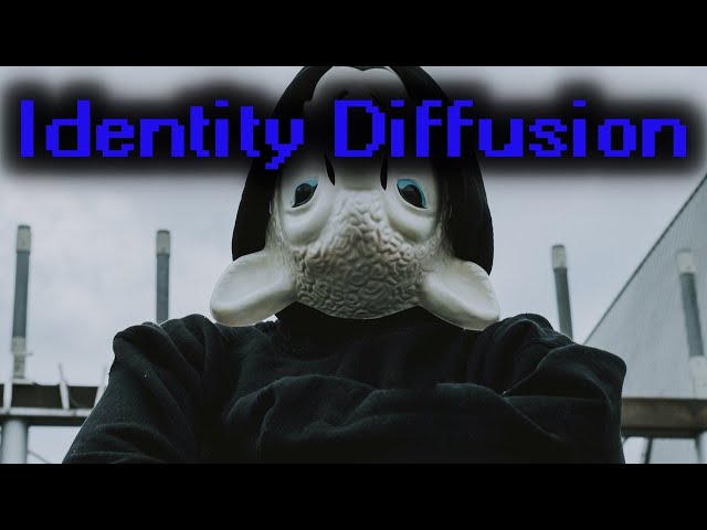 Understanding Identity Diffusion: A Deep Dive into Personal Identity ...