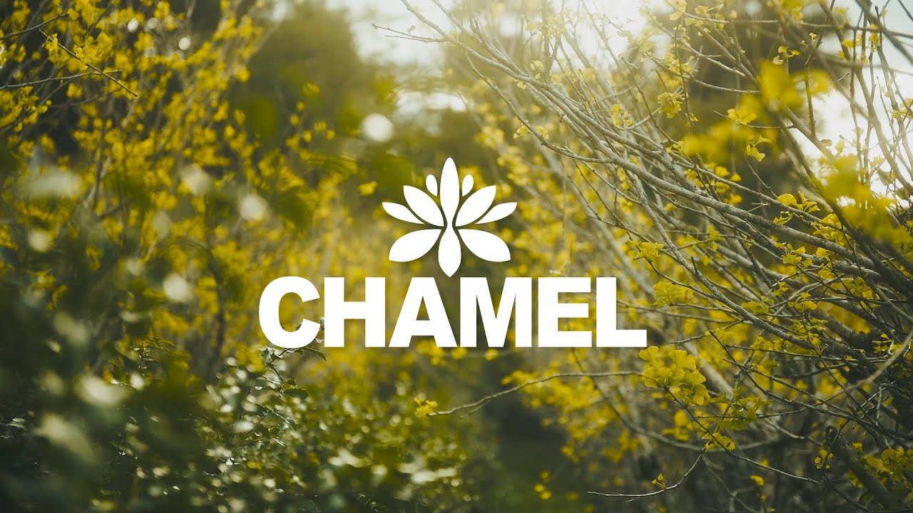 Chamel Produtos Naturais