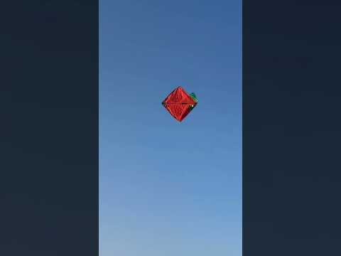 पतंग कट के छत पर आई ????????#kitefestival #kiteflying #kiteflying #pipa #patang #kite