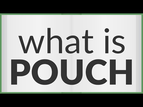 Pouch | meaning of Pouch