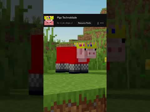 Pigs Technoblade - Minecraft Resource Packs - CurseForge