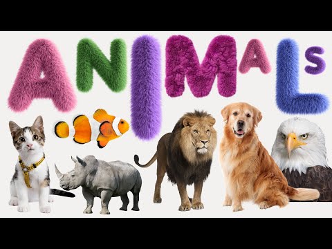 Animal - List of Animals - Name of Animals - 500 Animals Name in English from A to Z