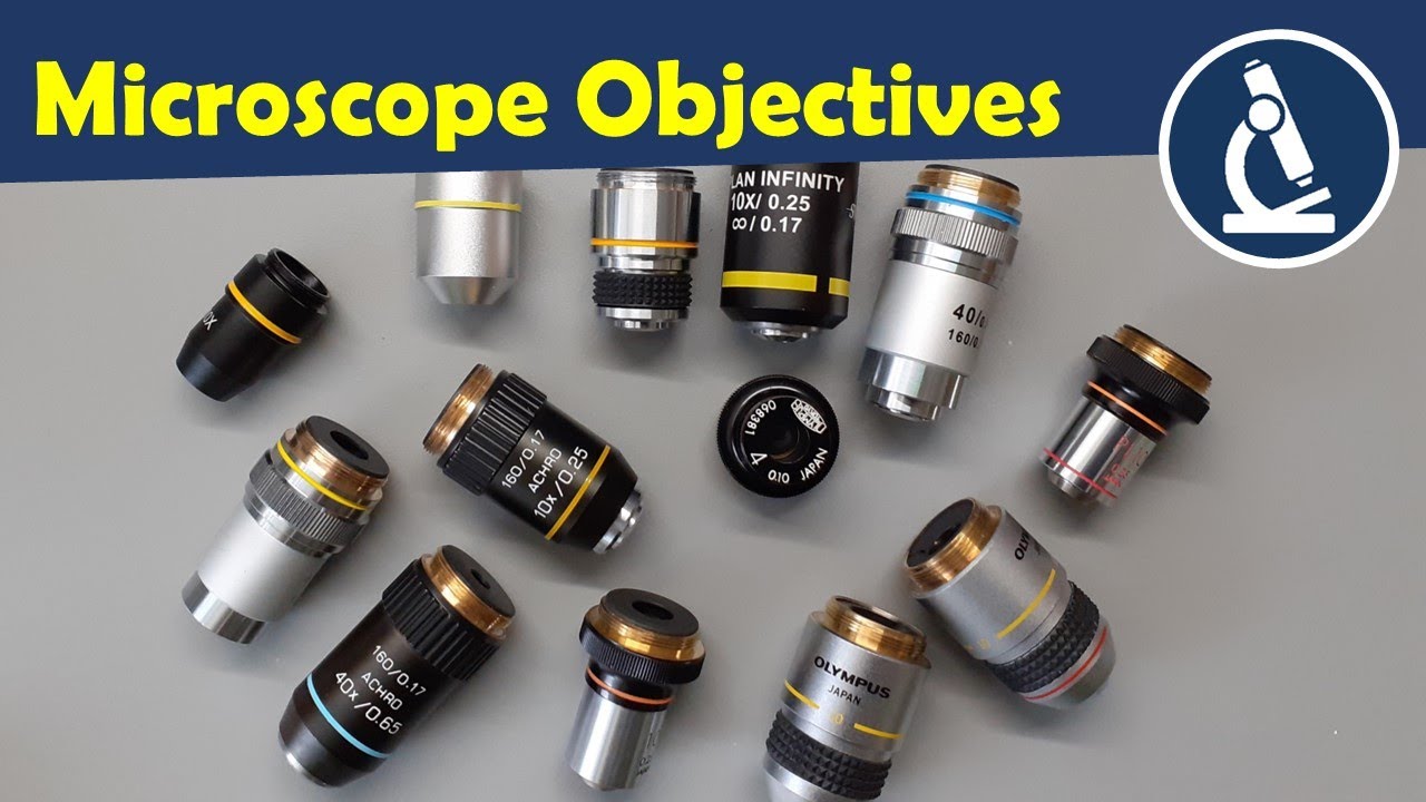 🔬The Ultimate Guide to Microscope Objectives (Explained Simply)