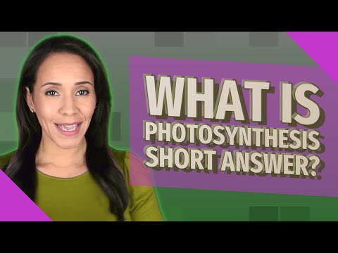 What is photosynthesis short answer?