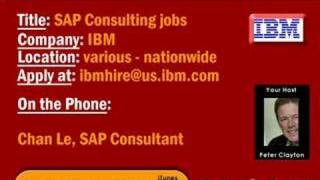 SAP MM Consultant Overview | What is an sap mm consultant? - Zippia