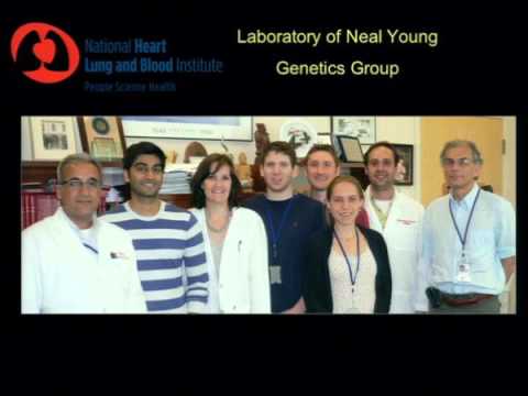 Aplastic Anemia Current Thinking on the Disease, Diagnoses, and Non-Transplant Treatment