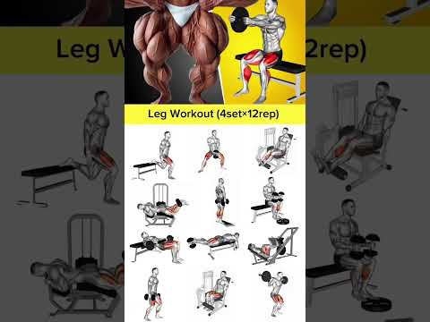 Day:56/60 Most Effective Leg Workout#fitness #gym #explore#bodybuilding #fyp#workout#back#home#reels