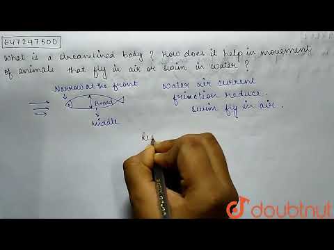 What is a streamlined body? How does it help in movement of animals that fly in air or swim in w...
