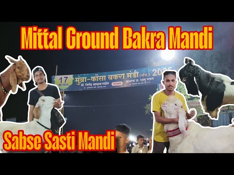 Mumbra Mittal Ground Bakra Mandi 2025 | Sabse Sasti Mandi 2025 | Mr.Vlogger