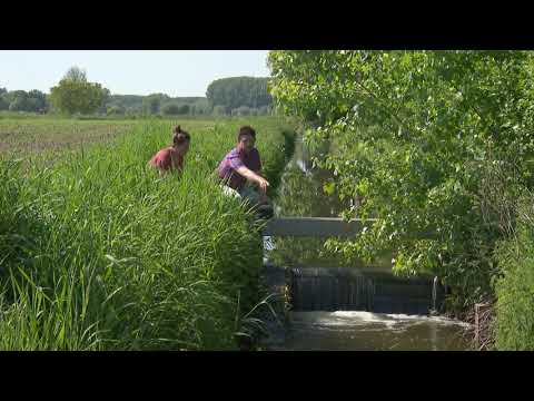 TRAILER Landschapbouwers Regionaal Landschap Schelde-Durme