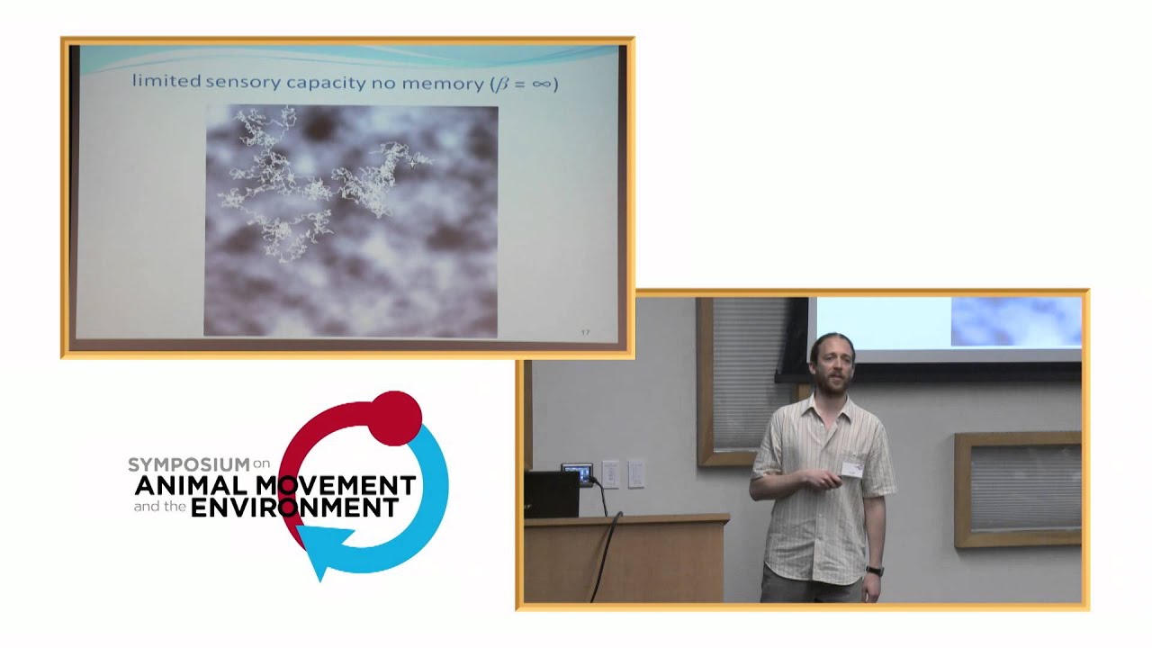 AMoveE 2014: Tal Avgar (tutorial)