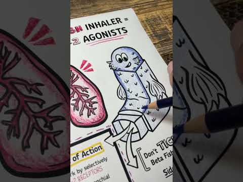 Inhaled beta 2 agonists
