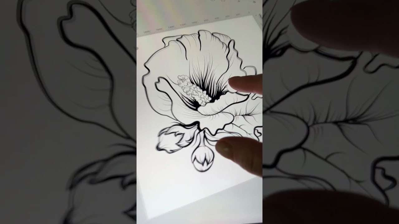 Hand-drawn Botanical Coloring Page – Available on Adobe Stock