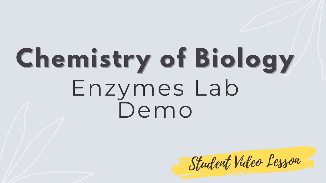 Catalase Enzyme Lab Demo (Temp/pH)