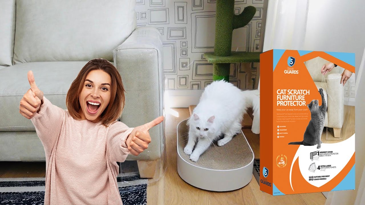 Best Cat Scratch Furniture Protector for Your Couch